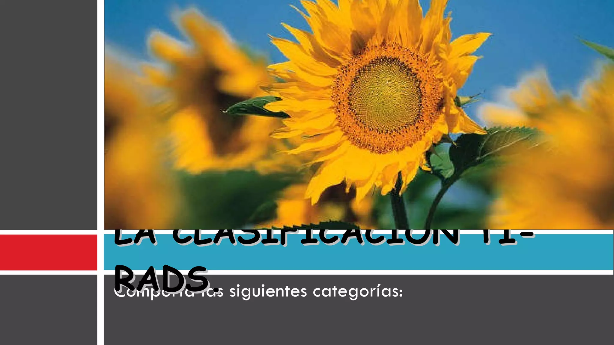 Clasificacion Ti Rads | PPT