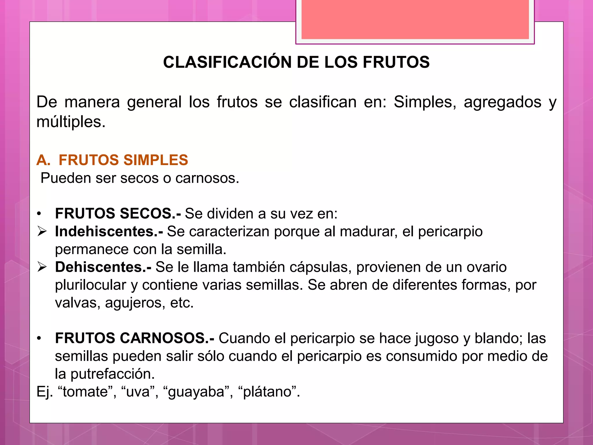 clasificacion y estructura del fruto | PPTX
