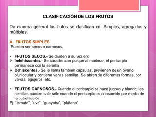 clasificacion y estructura del fruto | PPTX