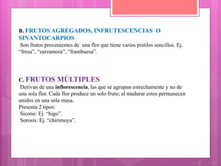 clasificacion y estructura del fruto | PPTX