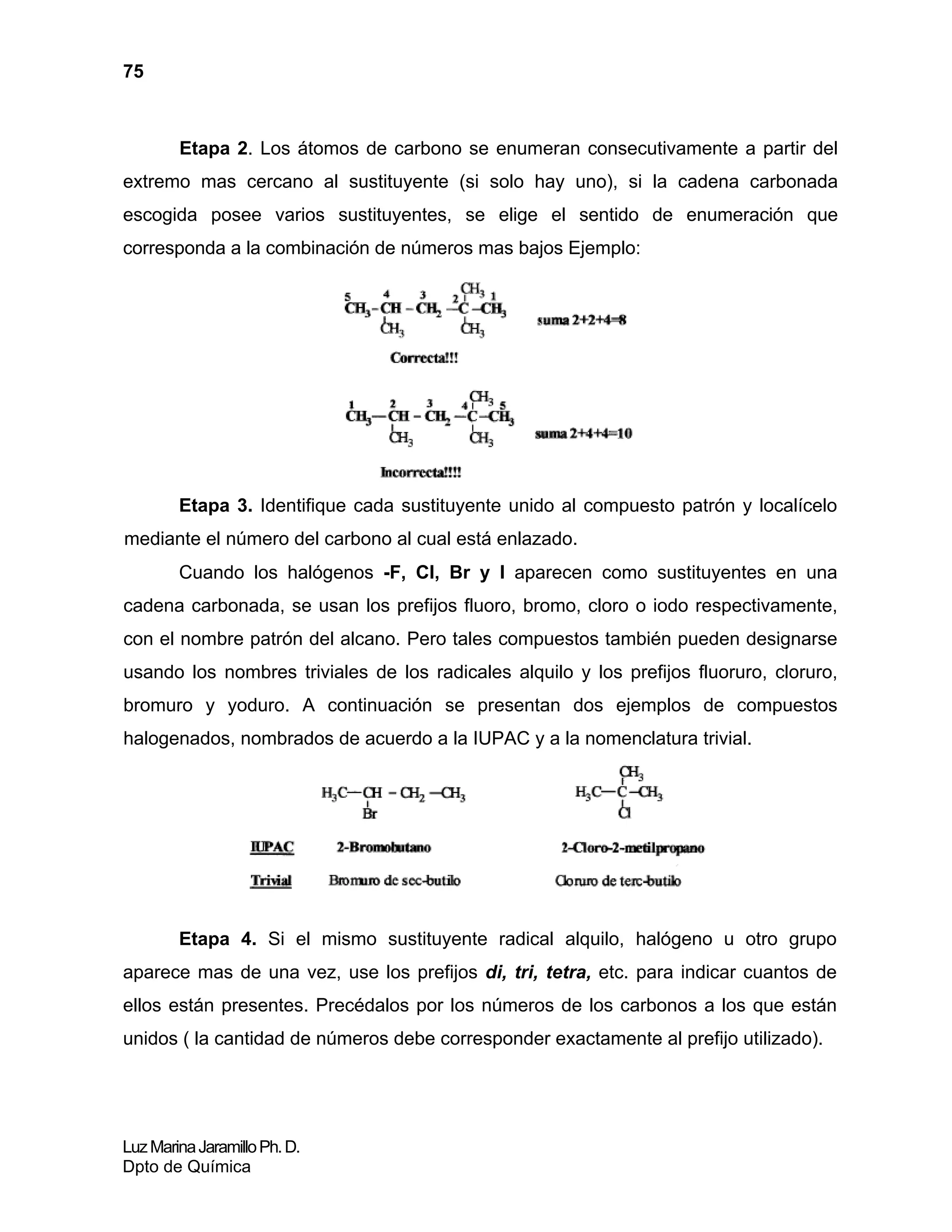 Clasificacion y nomenclatura_de_los_compuestos_organicos | PDF