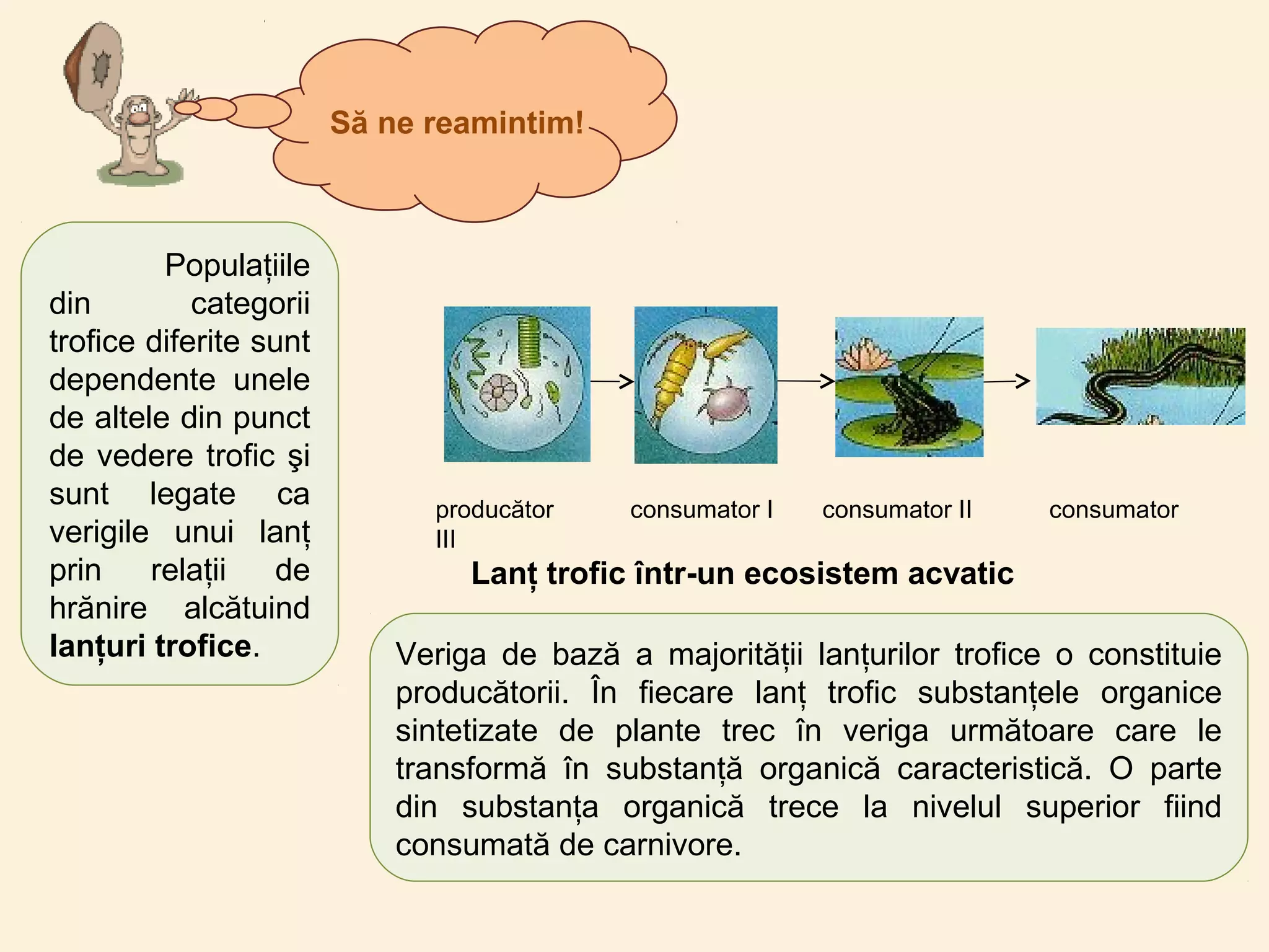 Clasificarea ecosistemelor | PPT