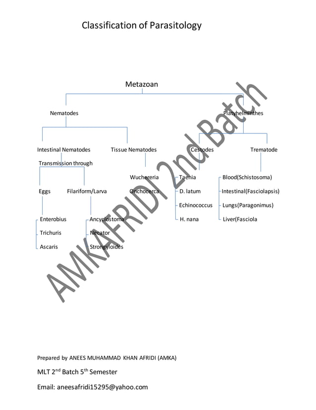 Classification of parasite | DOCX | Biological Sciences | Science