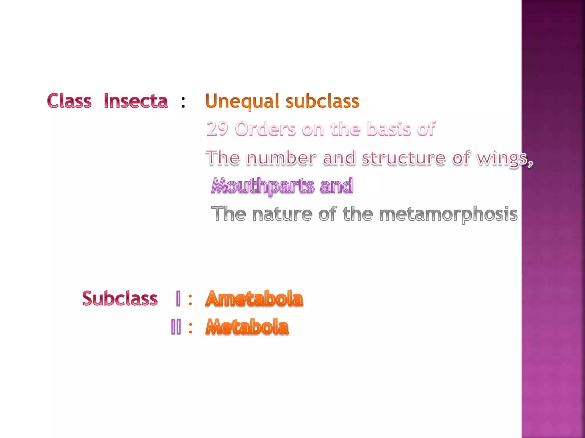 Classification of insects | PPTX