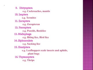Classification of insects | PPTX