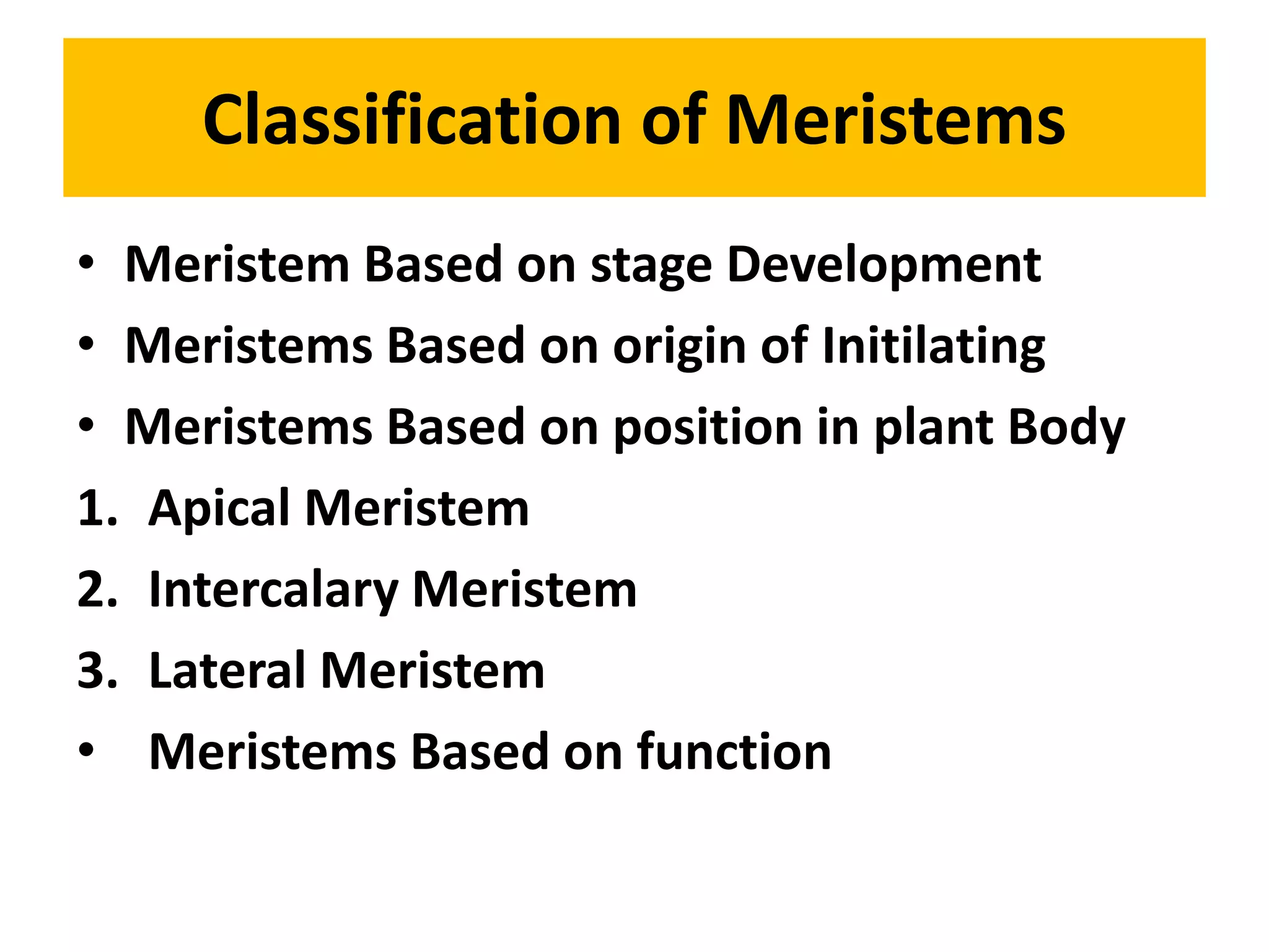 Clasification of meristem .apical meristem | PPTX