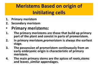 Clasification of meristem .apical meristem | PPTX