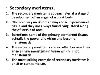 Clasification of meristem .apical meristem | PPTX