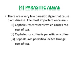 Clasification of plant diesesea | PPTX | Infectious Diseases | Diseases ...