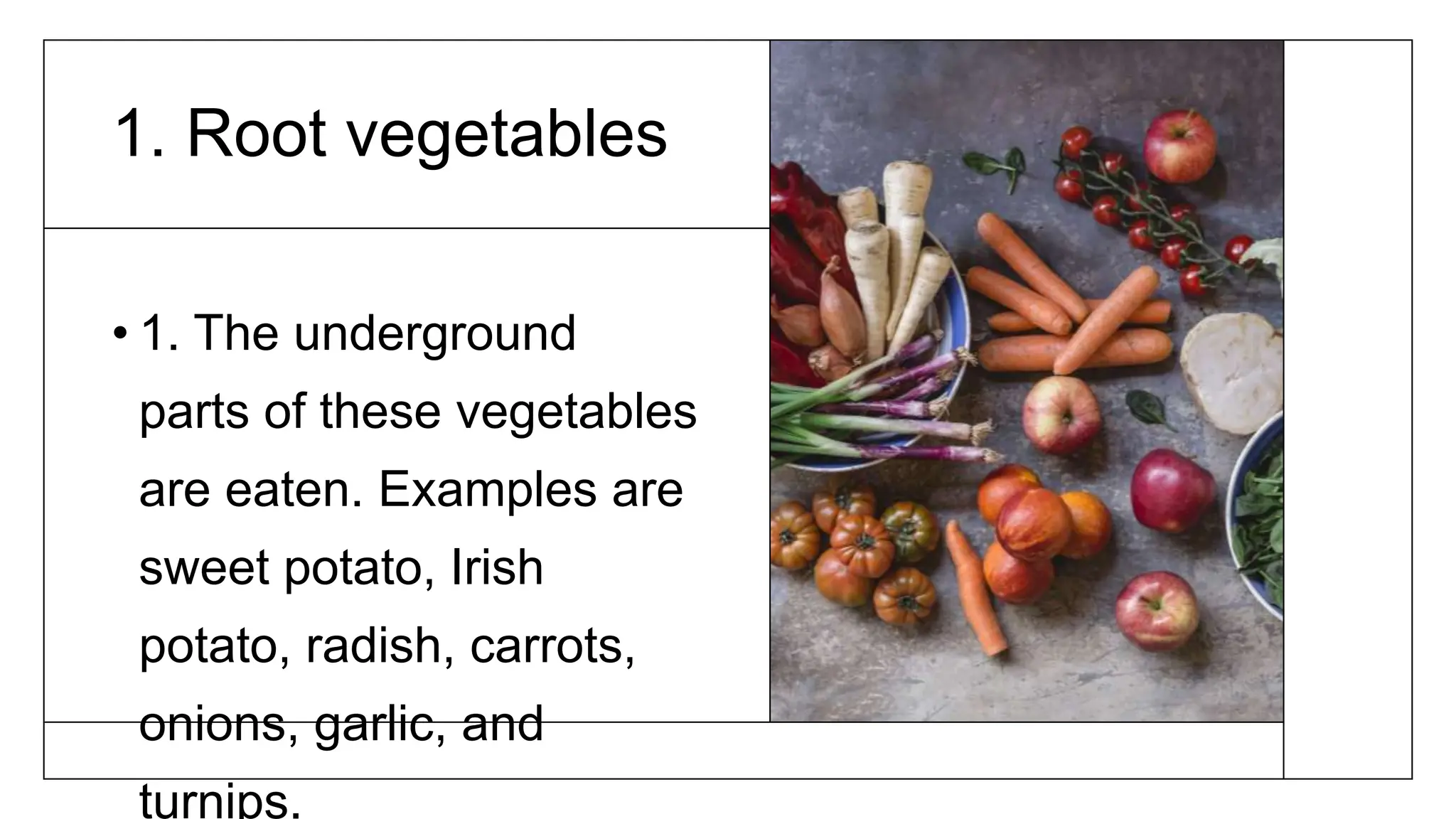 Horticulture Classification of vegetables.pptx
