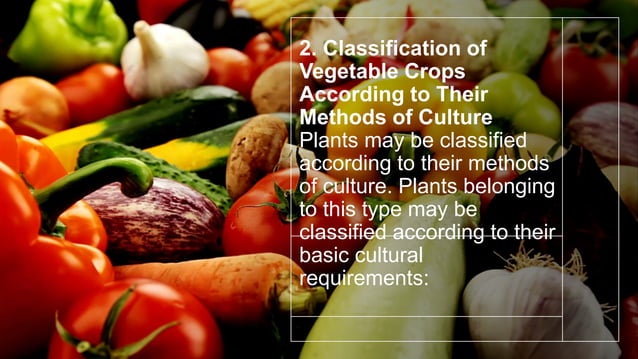 Horticulture Classification of vegetables.pptx | Gardening | Home & Garden