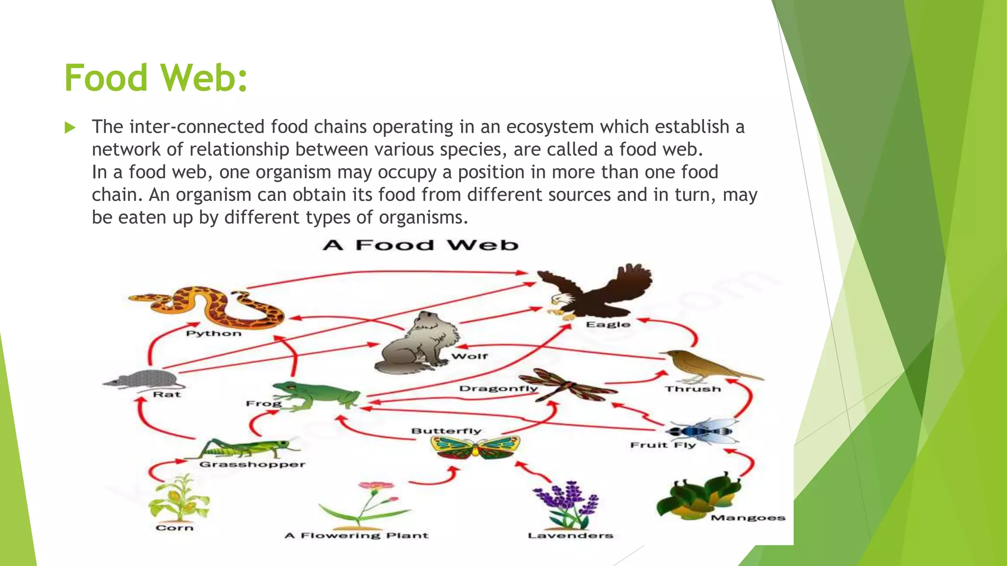 Class 10-chapter-15-our environment | PPTX