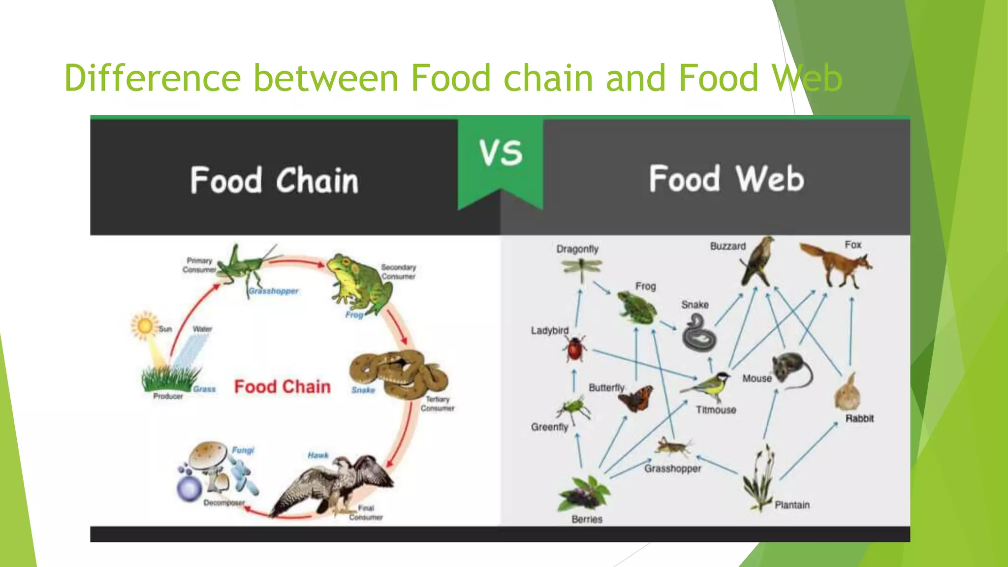 Class 10-chapter-15-our environment | PPTX