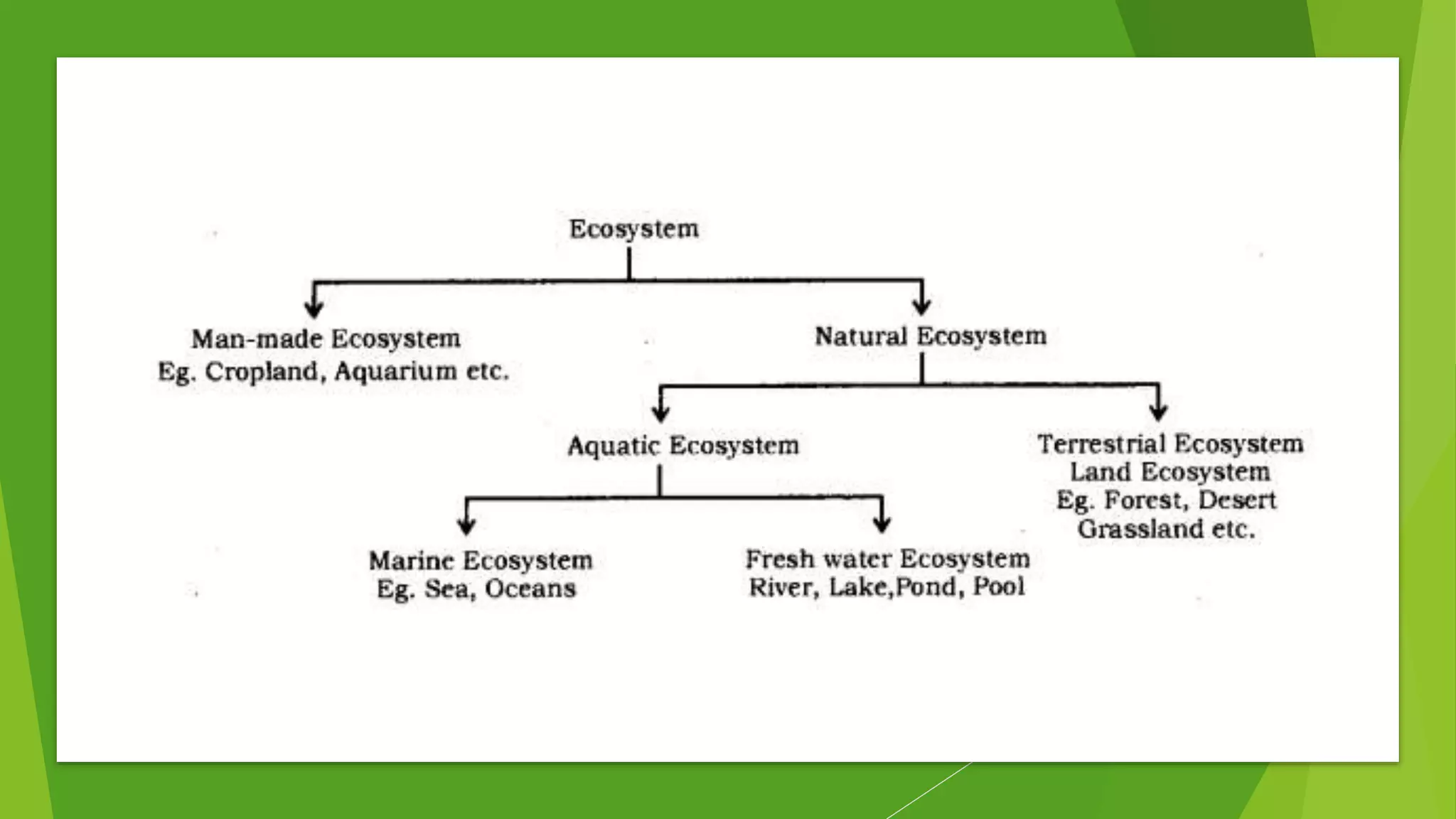 Class 10-chapter-15-our environment | PPTX