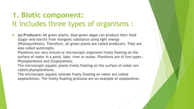 Class 10-chapter-15-our environment | PPTX