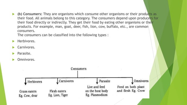 Class 10-chapter-15-our environment | PPTX