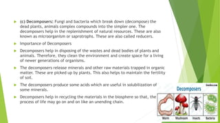 Class 10-chapter-15-our environment | PPTX