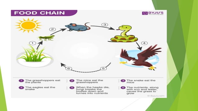 Class 10-chapter-15-our environment | PPTX