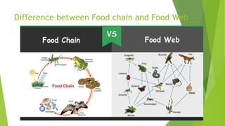 Class 10-chapter-15-our environment | PPTX