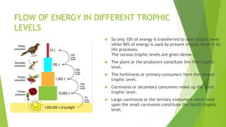 Class 10-chapter-15-our environment | PPTX