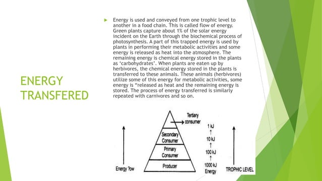 Class 10-chapter-15-our environment | PPTX