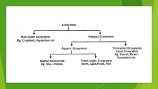 Class 10-chapter-15-our environment | PPTX