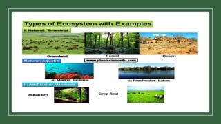 Class 10-chapter-15-our environment | PPTX