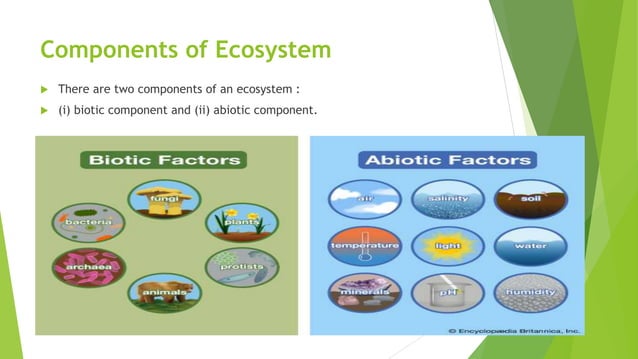 Class 10-chapter-15-our environment | PPTX