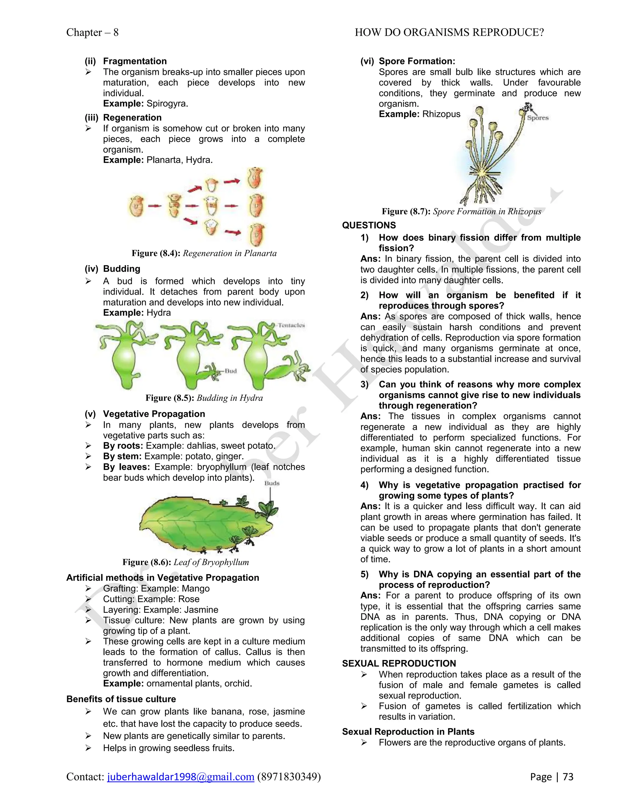 Class - 10 Science Book Full Concept Explanation With Last Five Years ...