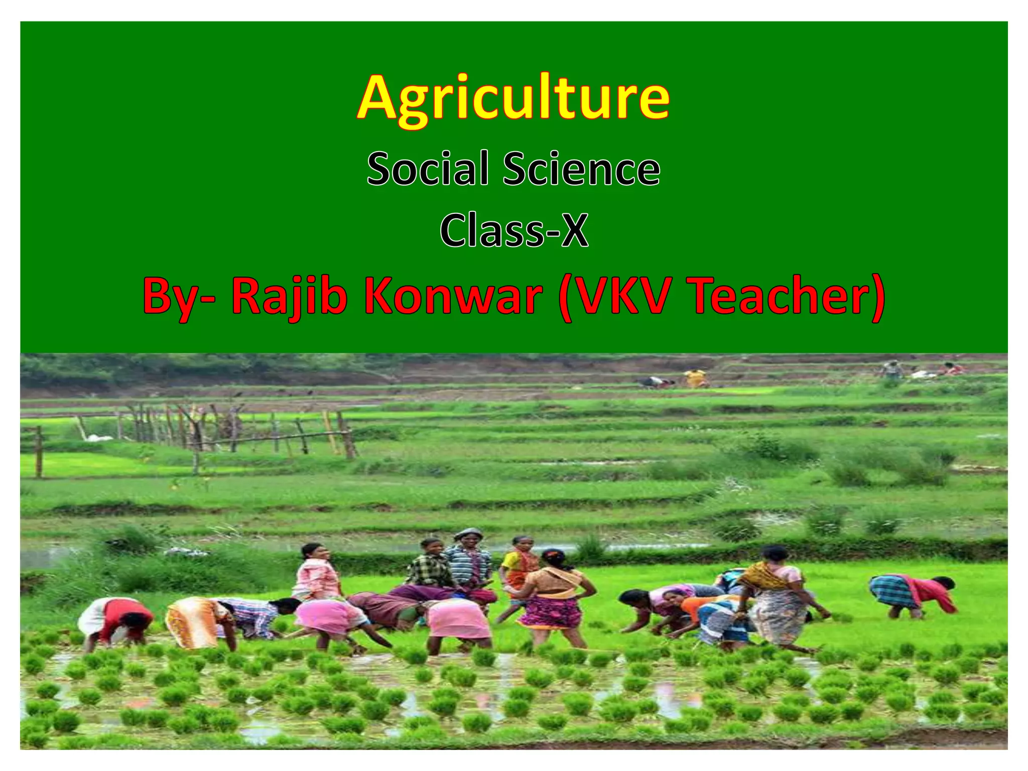 Class 10, social science geography , chapter-4 agriculture ppt or slide ...
