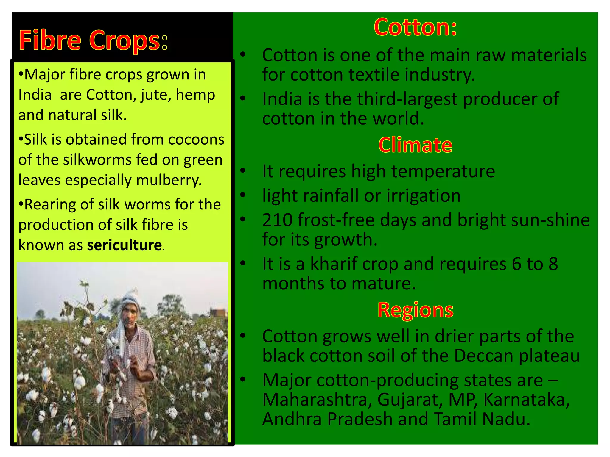 Class 10, social science geography , chapter-4 agriculture ppt or slide ...