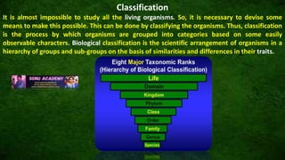 DIVERSITY IN LIVING WORLD - (CLASS XI, CBSE BIOLOGY) | PPTX