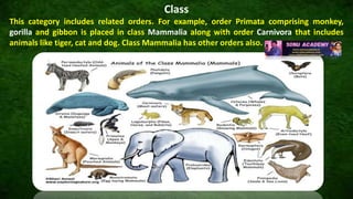 DIVERSITY IN LIVING WORLD - (CLASS XI, CBSE BIOLOGY) | PPTX