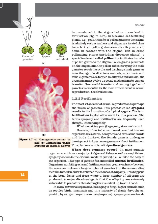 NCERT Books Class 12 Biology Chapter 1 Reproduction in Organism