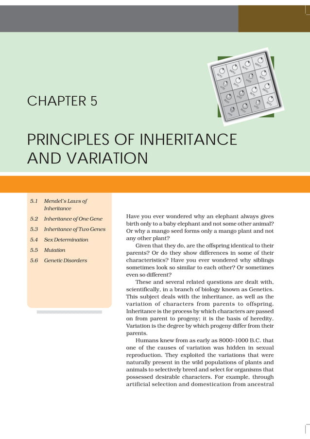 NCERT Books Class 12 Biology Chapter 5 Principles of Inheritance | PDF ...