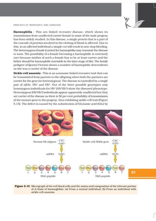 NCERT Books Class 12 Biology Chapter 5 Principles of Inheritance | PDF