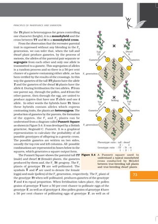 NCERT Books Class 12 Biology Chapter 5 Principles of Inheritance | PDF