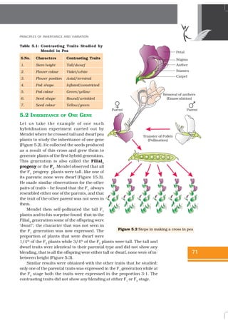 NCERT Books Class 12 Biology Chapter 5 Principles of Inheritance | PDF