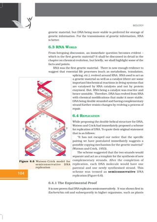 NCERT Books Class 12 Biology Chapter 6 Molecular basis of Inheritance | PDF