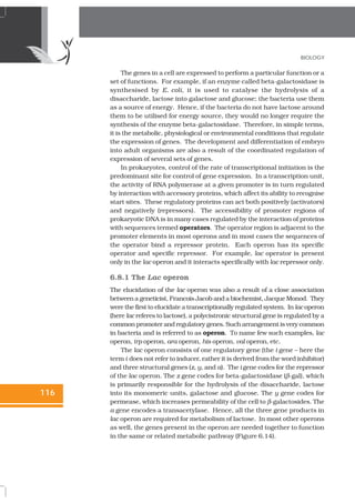 NCERT Books Class 12 Biology Chapter 6 Molecular basis of Inheritance | PDF