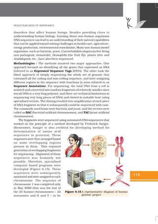 NCERT Books Class 12 Biology Chapter 6 Molecular basis of Inheritance | PDF