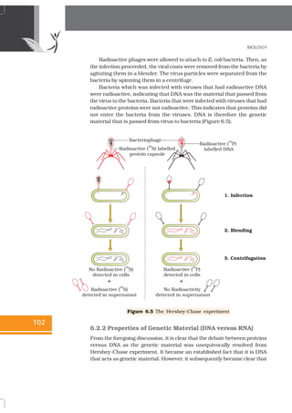 NCERT Books Class 12 Biology Chapter 6 Molecular basis of Inheritance | PDF
