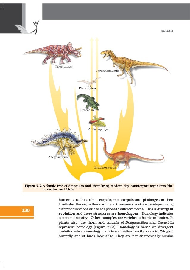 NCERT Books Class 12 Biology Chapter 7 Evolution