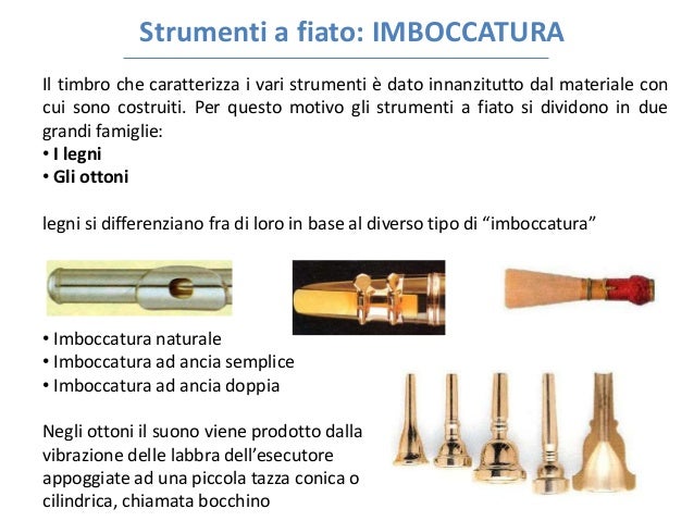 Youtube Classificazione Degli Strumenti Musicali Catania