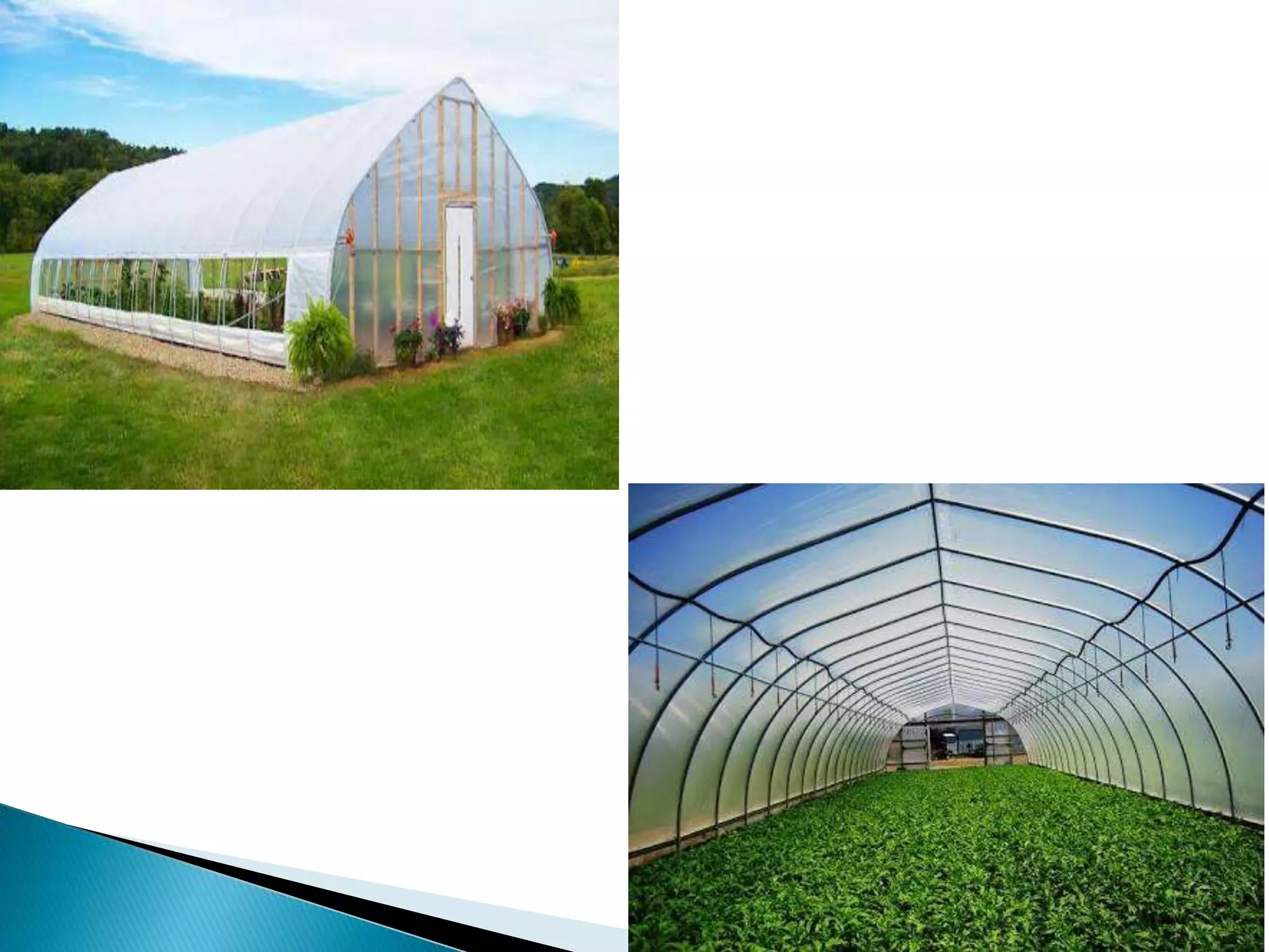 Class 1 greenhouse introduction, importance, scopes and classification ...