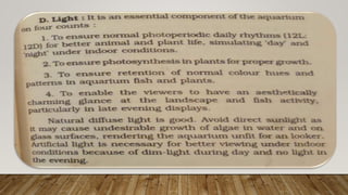Class-1 Lighting and Aeration.pdf