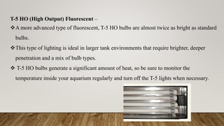 Class-1 Lighting and Aeration.pdf