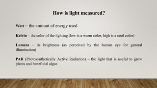 Class-1 Lighting and Aeration.pdf
