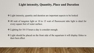 Class-1 Lighting and Aeration.pdf