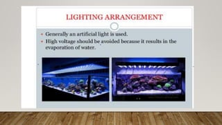 Class-1 Lighting and Aeration.pdf